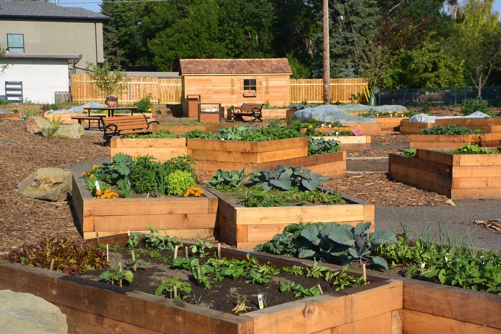 Community Garden Event Tonight: April 8th - Winston Heights-Mountview ...